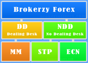 Rodzaje brokerów na Forex - Typy brokerów - MM, STP, ECN